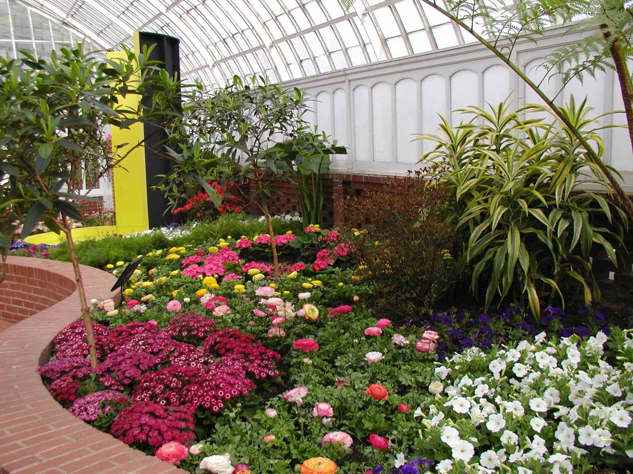 Spring Flower Show 2004: Splashes of Spring | Phipps Conservatory and ...