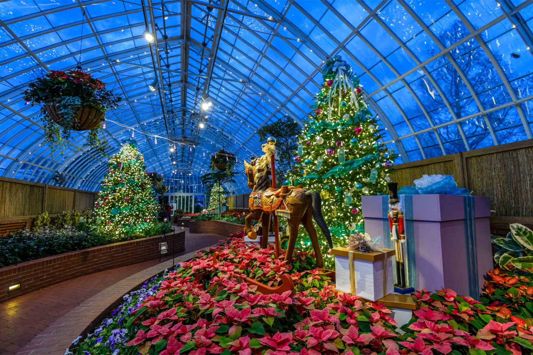 Winter Flower Show and Light Garden 2021: Holiday Magic! Sparkle and ...