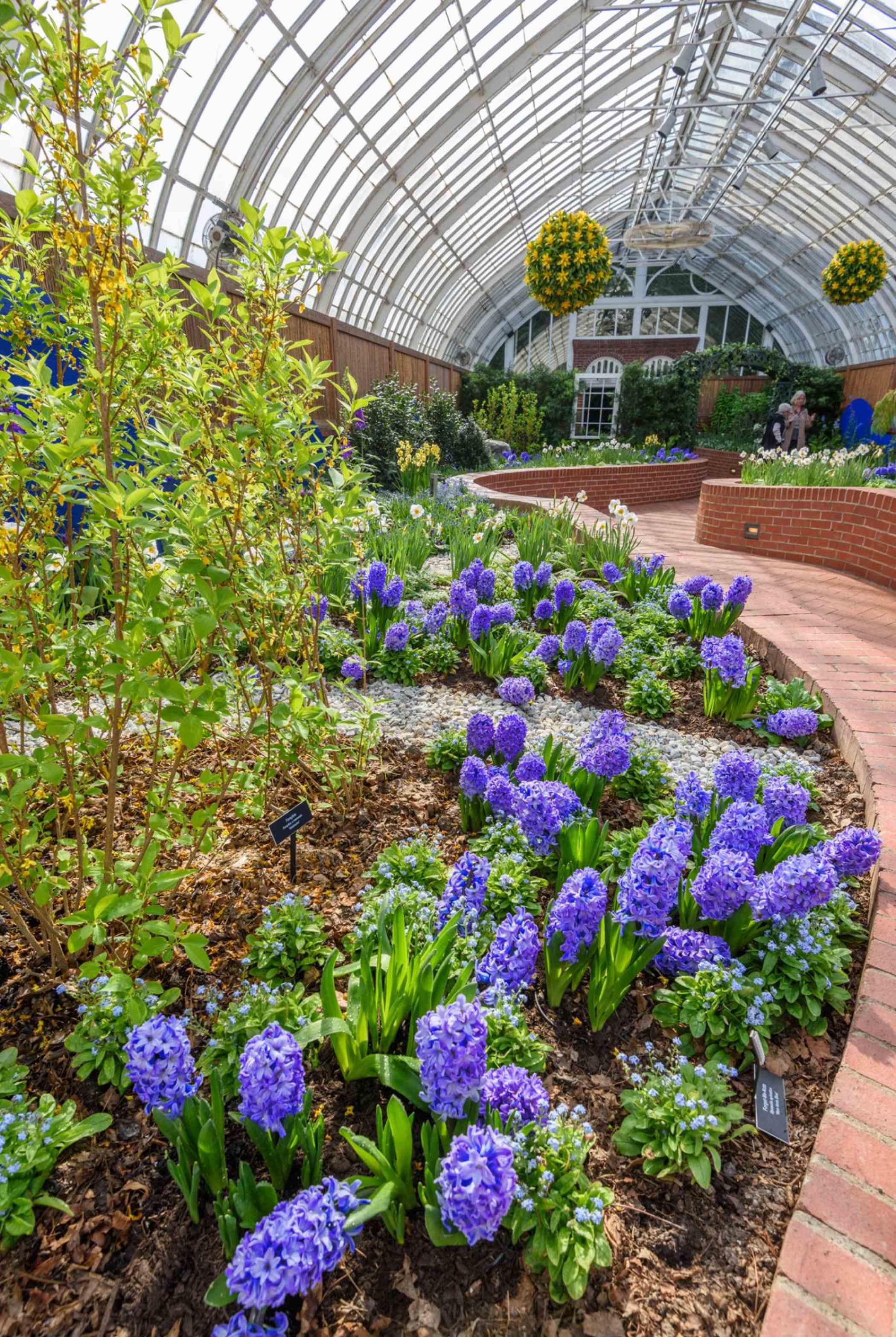 Spring Flower Show 2016: Masterpieces in Bloom | Phipps Conservatory ...