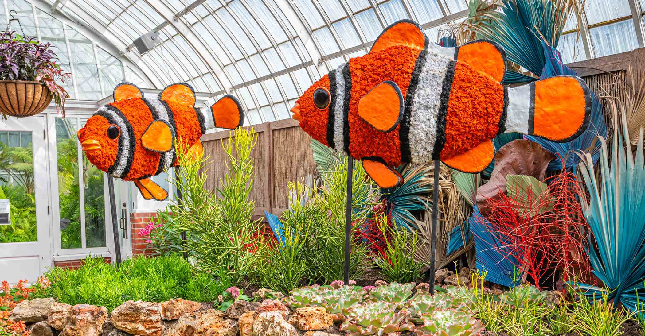 Summer Flower Show 2024: Under the Sea | Phipps Conservatory and ...