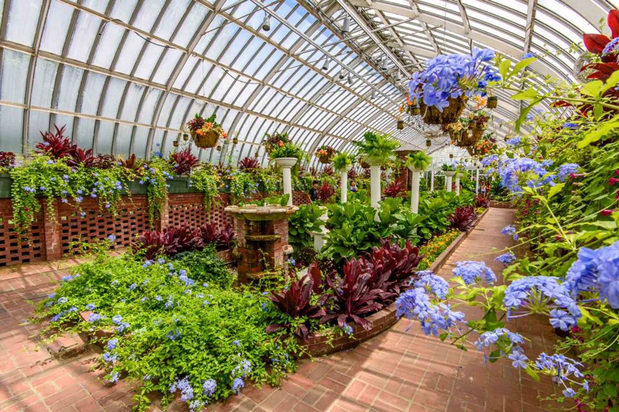 Summer Flower Show 2016: PlayGardens | Phipps Conservatory and ...