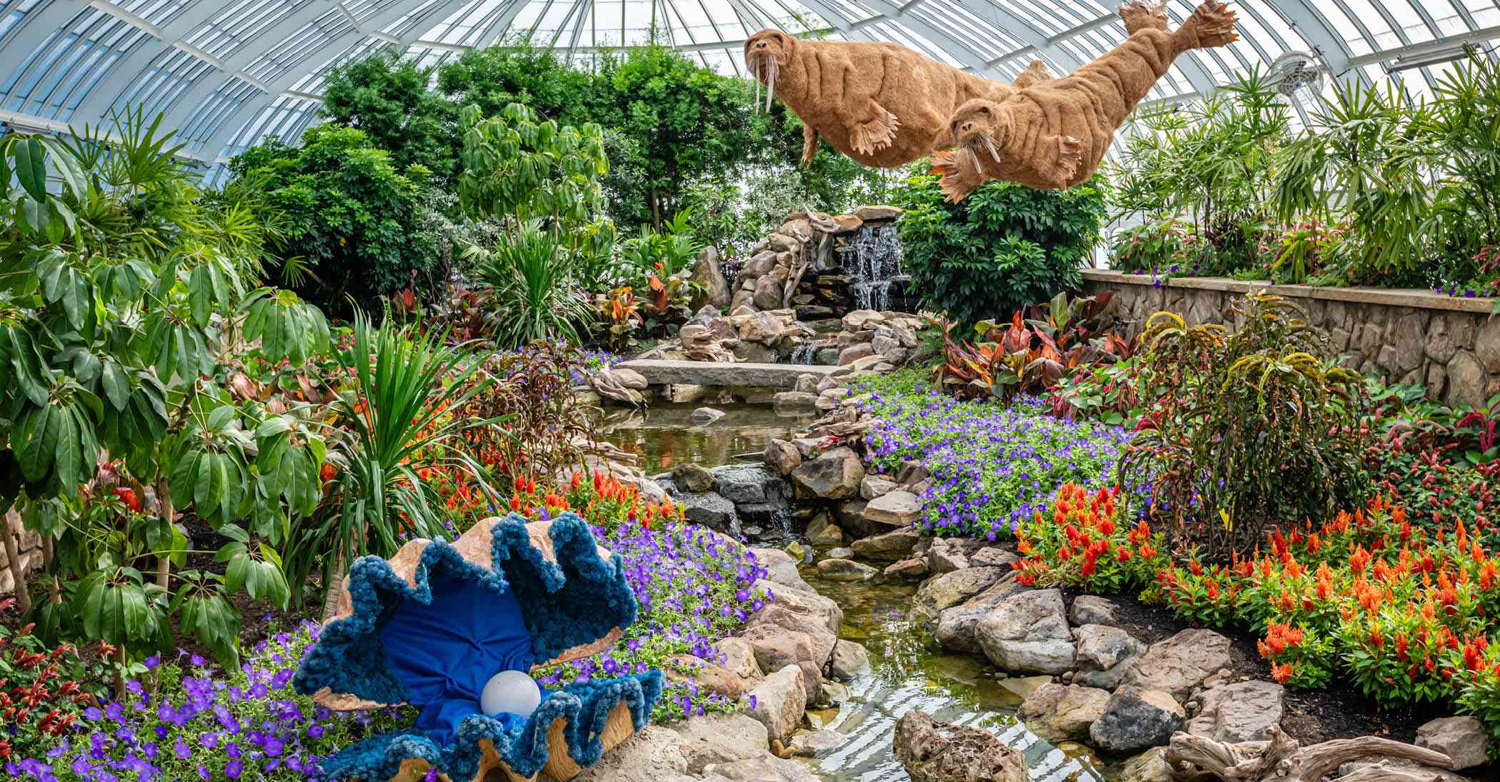 Summer Flower Show 2024: Under the Sea | Phipps Conservatory and ...