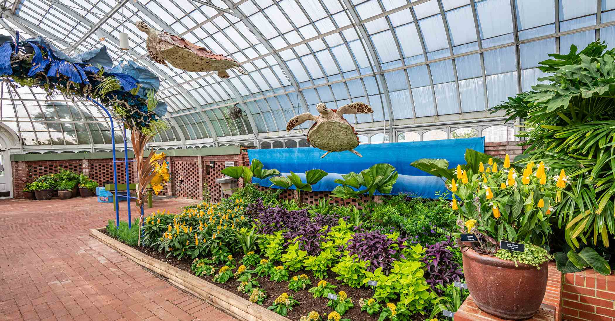 Summer Flower Show 2024: Under the Sea | Phipps Conservatory and ...