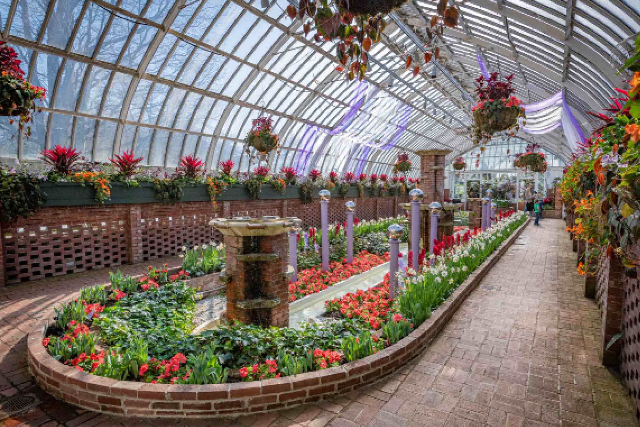 phipps conservation
