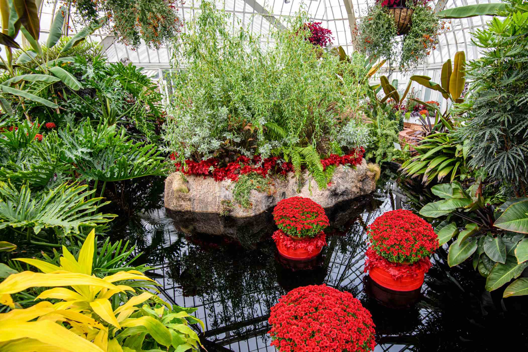 Winter Flower Show and Light Garden 2021: Holiday Magic! Sparkle and ...