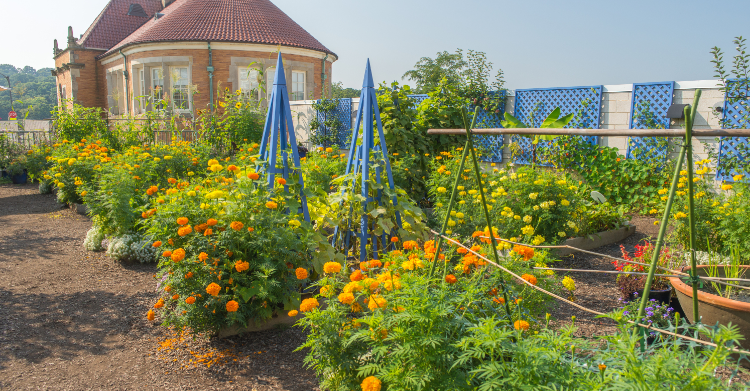 Food for Thought: Rooftop Edible Garden | Phipps Conservatory and ...
