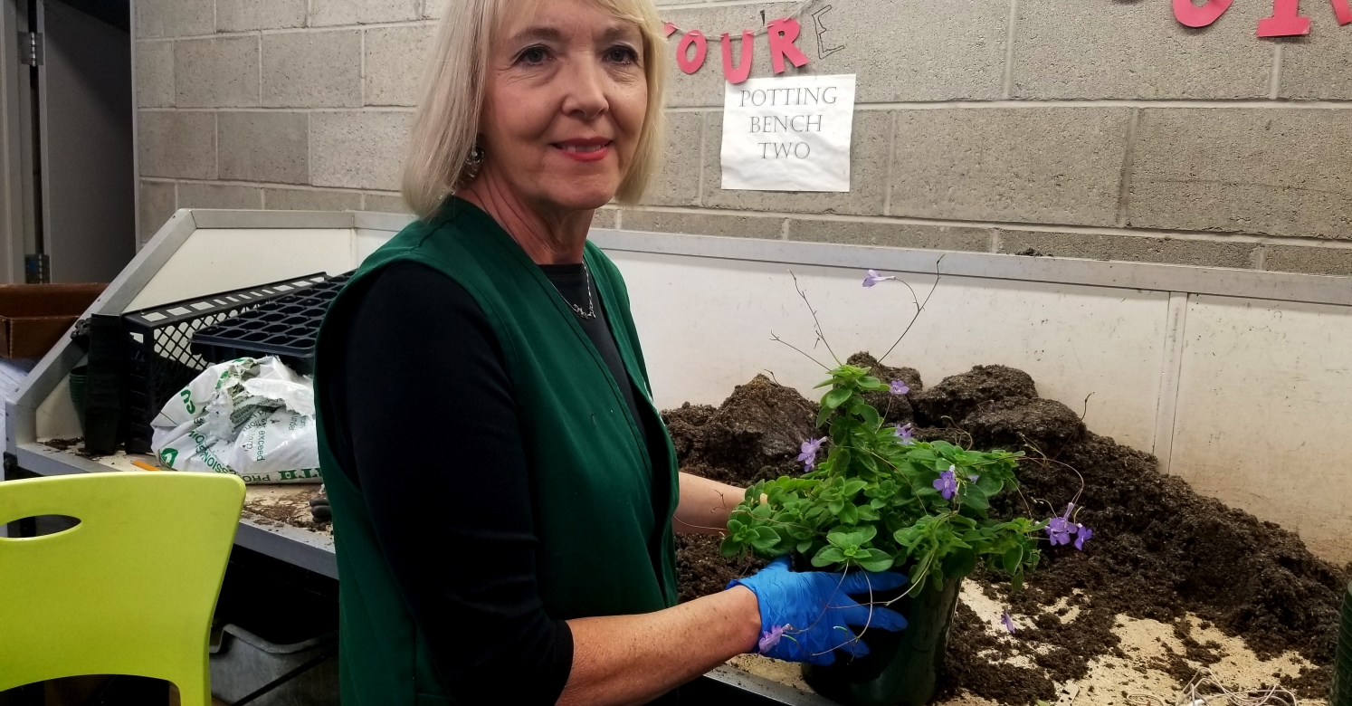 Volunteer Spotlight: Rose Hydeman | Phipps Conservatory and Botanical ...