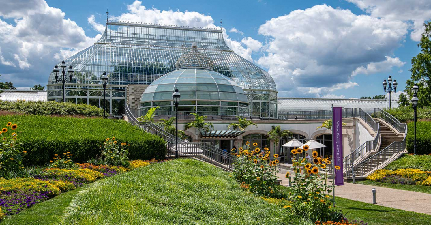 Let's Stay Connected: Flower Shows, Nature Blogs, Poppies and More ...