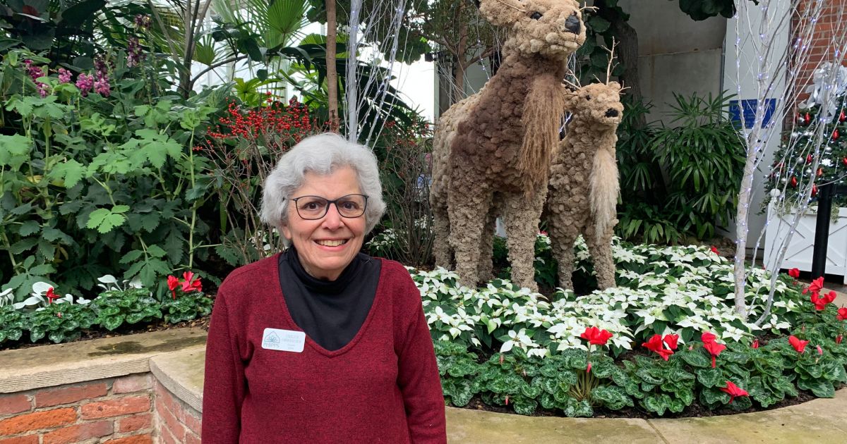 Volunteer Spotlight: Helen Orringer | Phipps Conservatory and Botanical ...