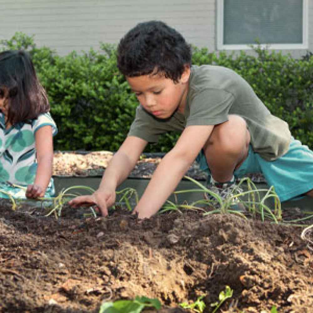 Blog | Phipps Conservatory and Botanical Gardens | Pittsburgh PA