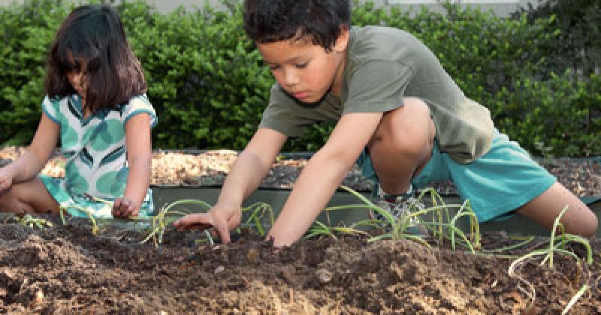 Let’s Move Pittsburgh and Carnegie Library of Pittsburgh-Hazelwood Put ...