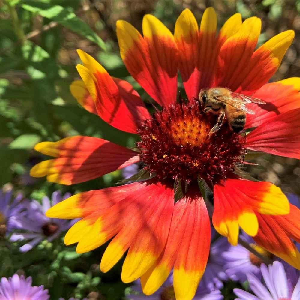 Blog | Phipps Conservatory and Botanical Gardens | Pittsburgh PA