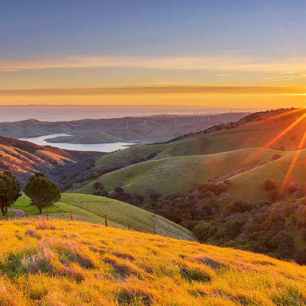 Blog | Phipps Conservatory and Botanical Gardens | Pittsburgh PA