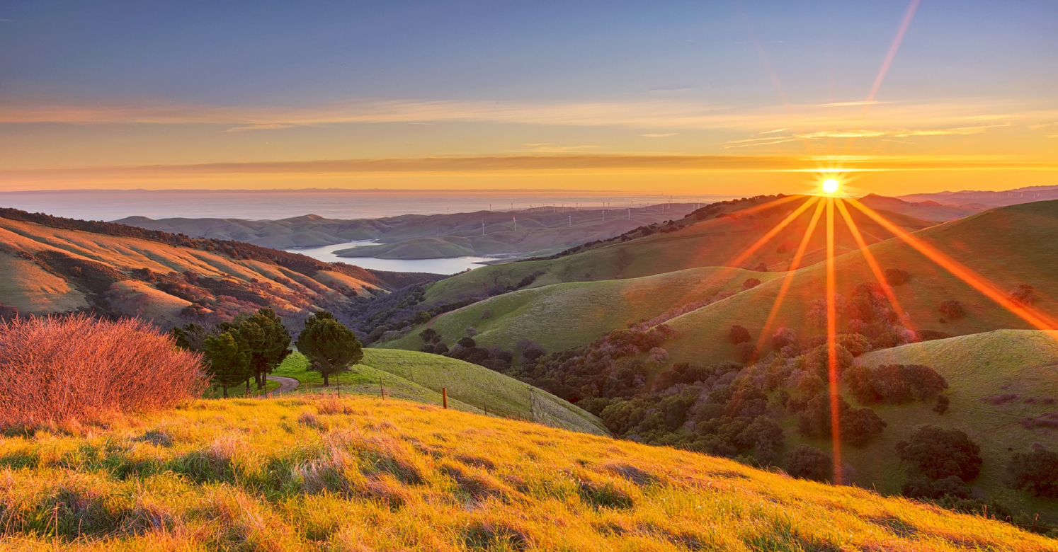 #bioPGH Blog: The Spring Equinox! | Phipps Conservatory and Botanical ...