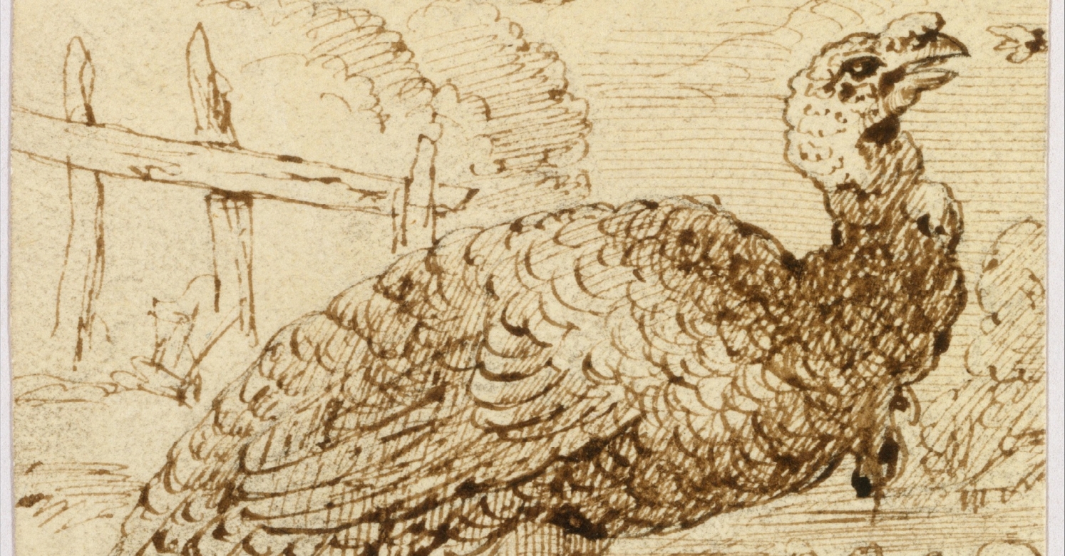 #bioPGH Blog: Talkin' Turkey | Phipps Conservatory and Botanical ...