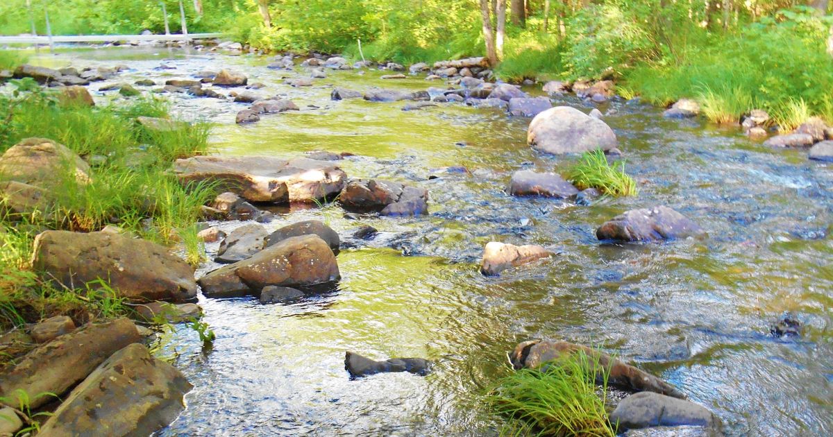 #bioPGH Blog: Conduct Your Own Stream Assessment | Phipps Conservatory ...