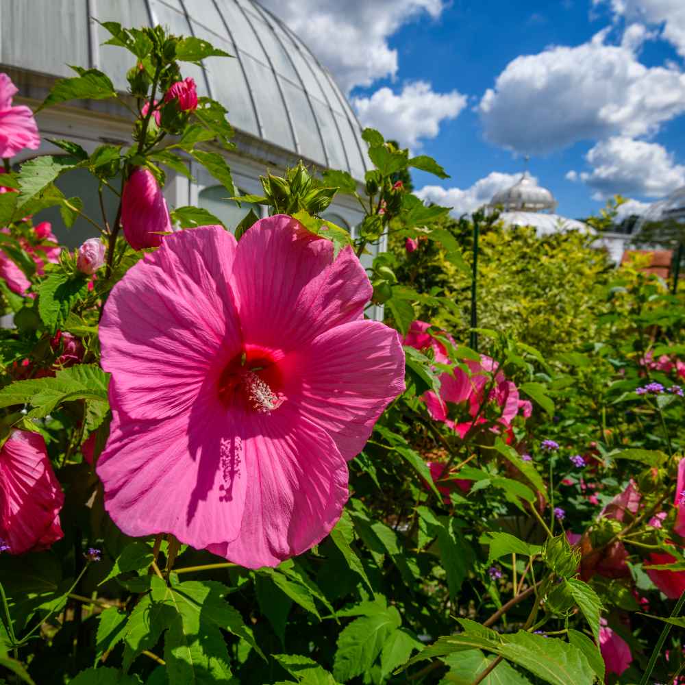 Blog | Phipps Conservatory and Botanical Gardens | Pittsburgh PA