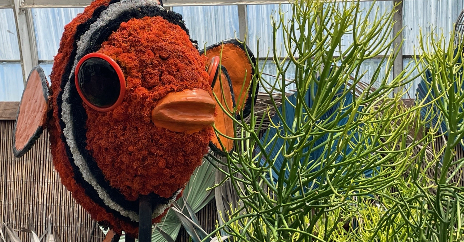 Diving Deeper: Plants Under the Sea | Phipps Conservatory and Botanical ...