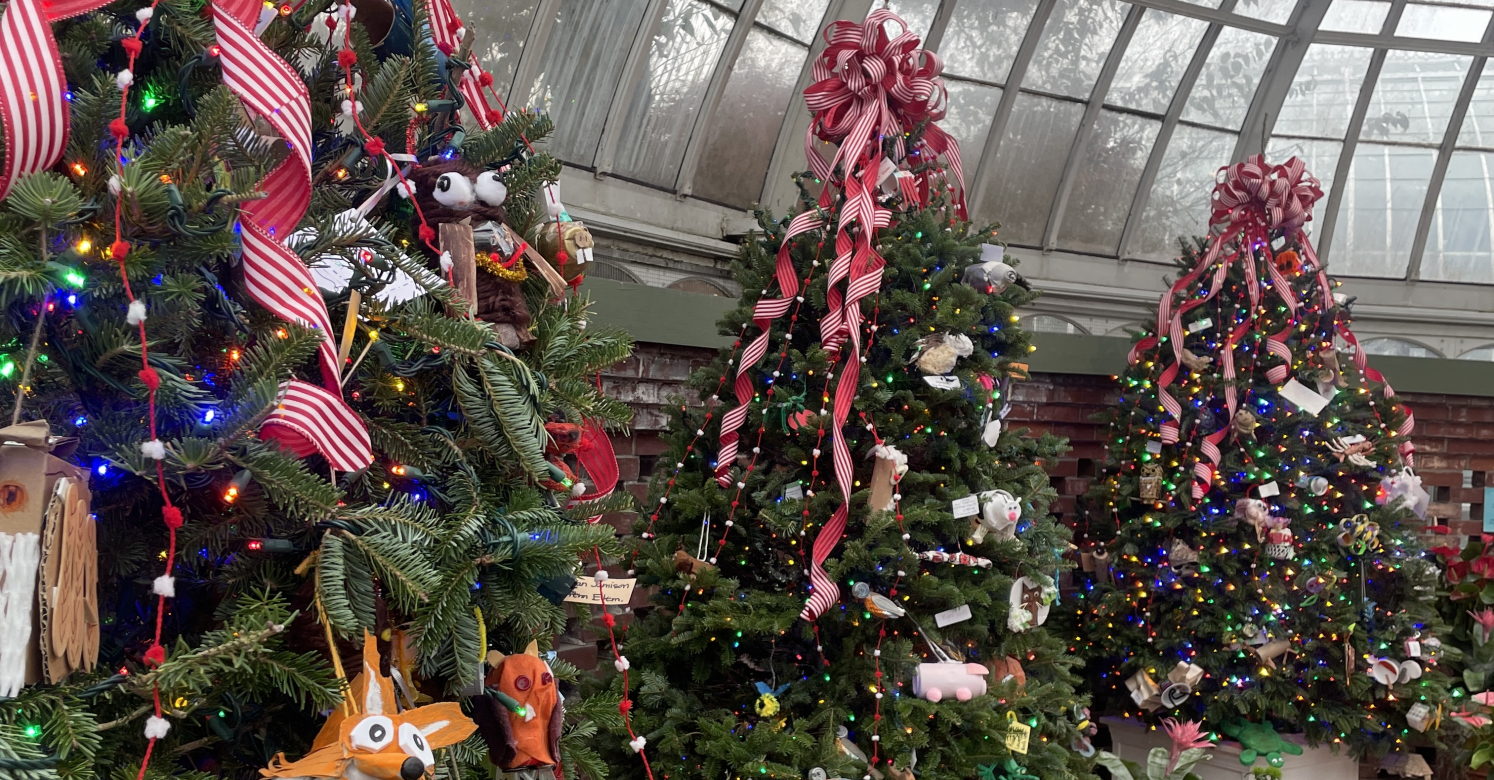 Fairchild Challenge at Phipps: Challenge #1 Winners Announced! | Phipps ...