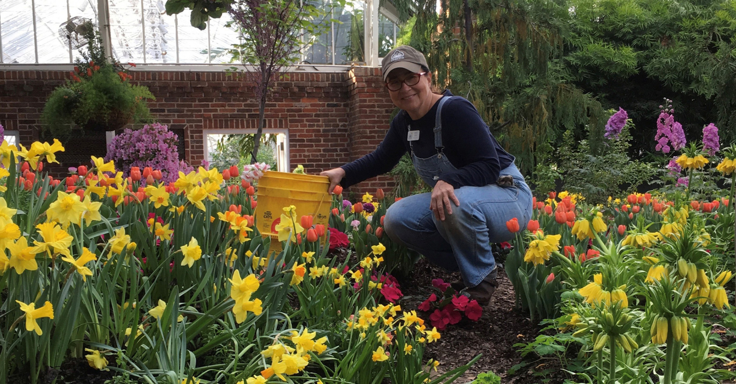 Volunteer Spotlight: Janet Sieff | Phipps Conservatory and Botanical ...