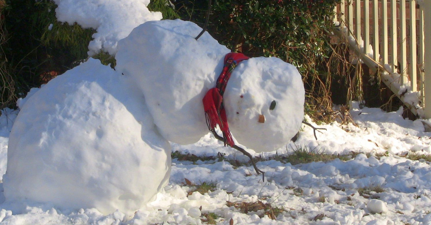 #bioPGH Blog: The Snow was a No-Go in 2023 | Phipps Conservatory and ...