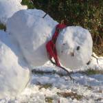 Home | Phipps Conservatory and Botanical Gardens | Pittsburgh PA