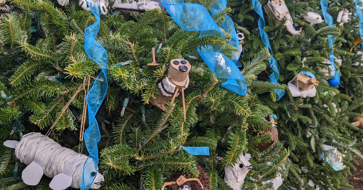 Fairchild Challenge at Phipps: Challenge #1 Winners Announced! | Phipps ...