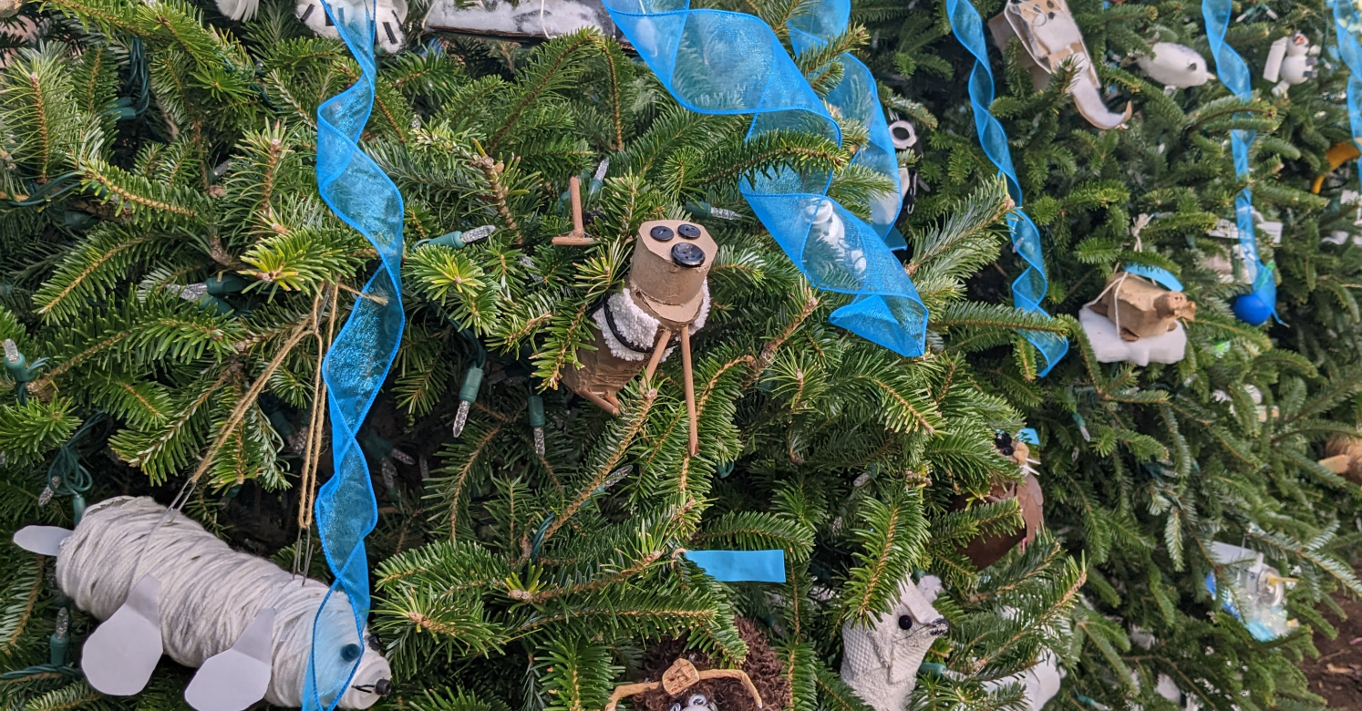 Fairchild Challenge at Phipps: Challenge #1 Winners Announced! | Phipps ...