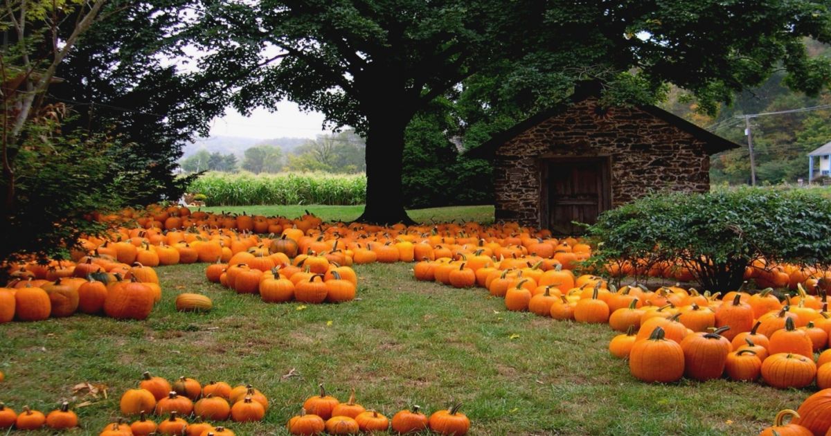 A World of Pumpkin and Spice | Phipps Conservatory and Botanical ...