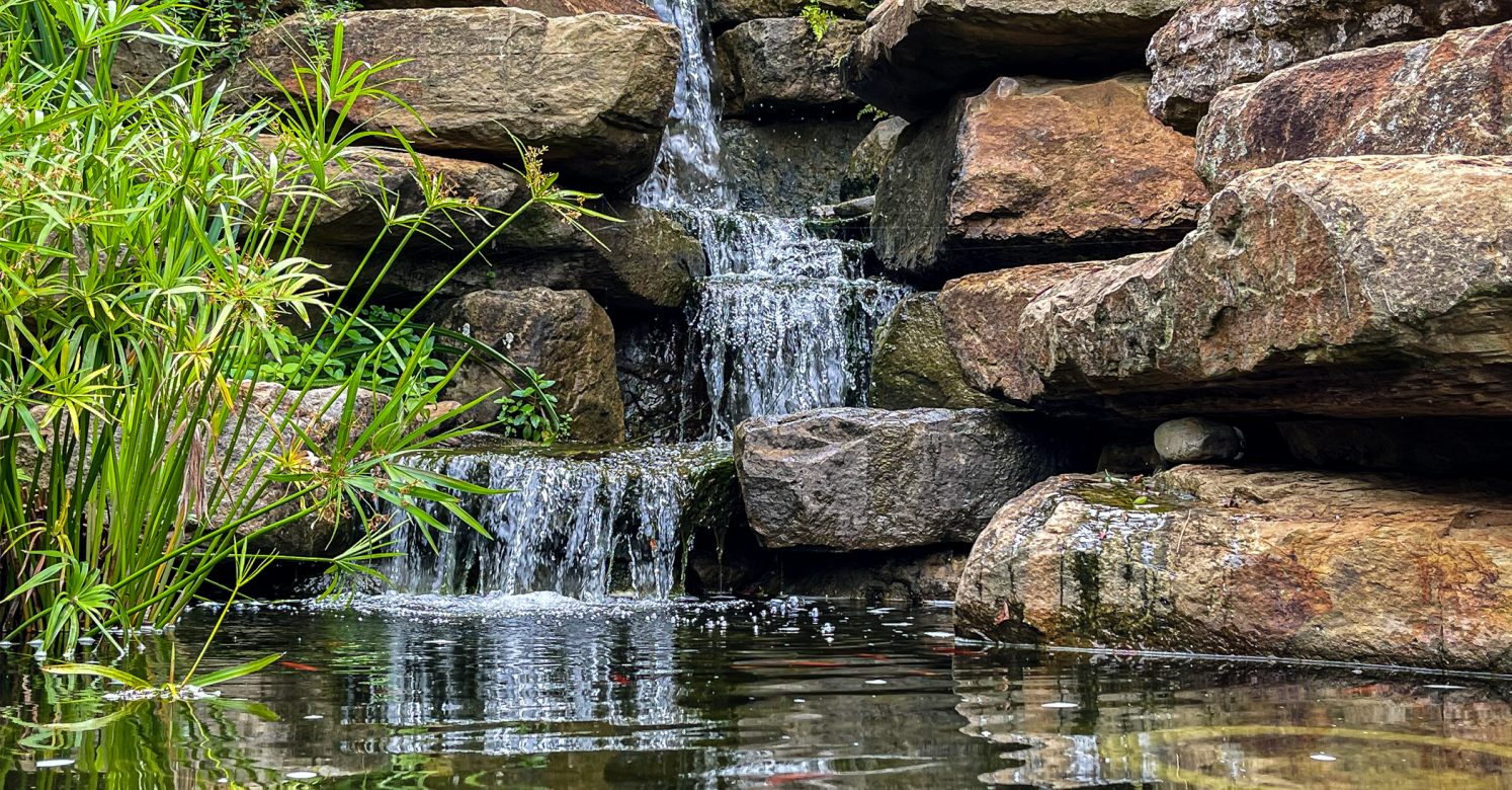 This Week at Phipps: Aug. 28 – Sept. 3 | Phipps Conservatory and ...