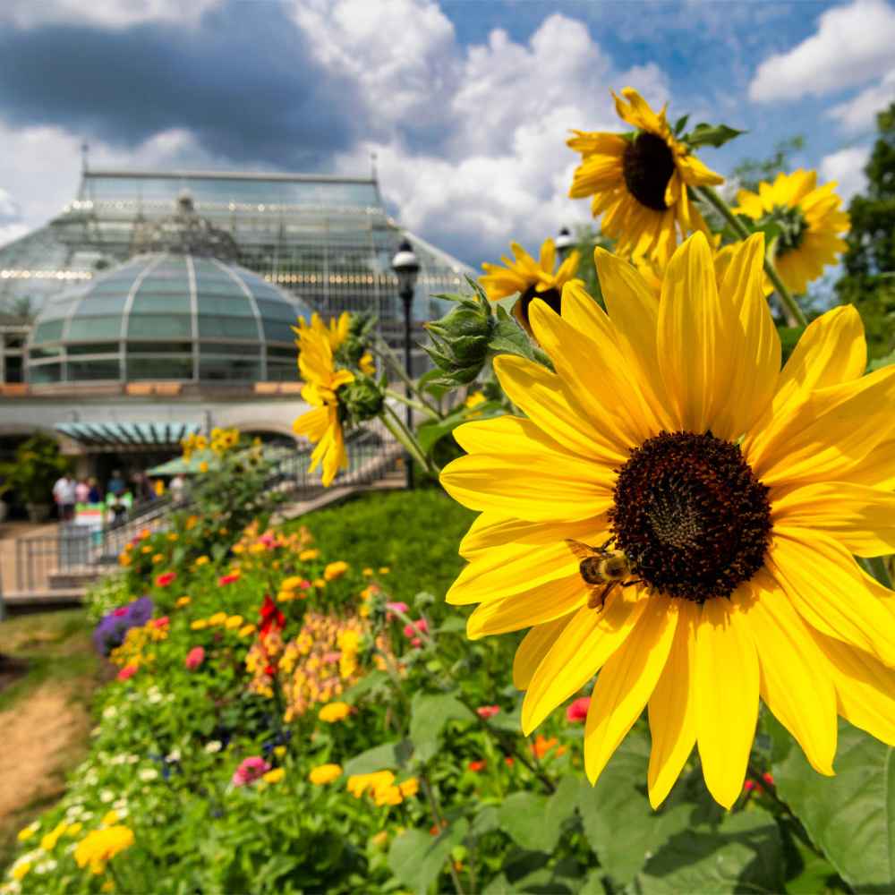 Blog | Phipps Conservatory and Botanical Gardens | Pittsburgh PA