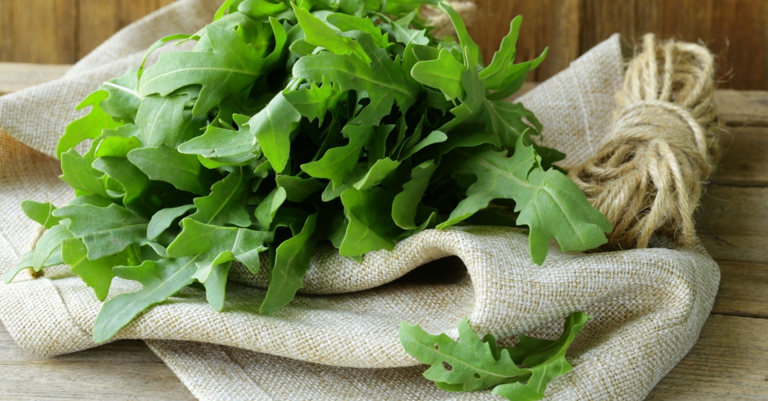 What We're Cooking With Now: Arugula | Phipps Conservatory and ...