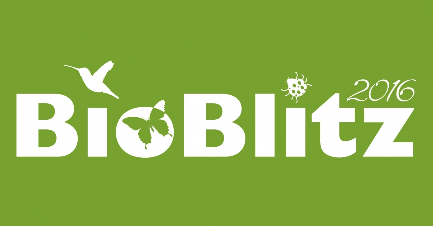 #bioPGH Blog: Bioblitz | Phipps Conservatory and Botanical Gardens ...