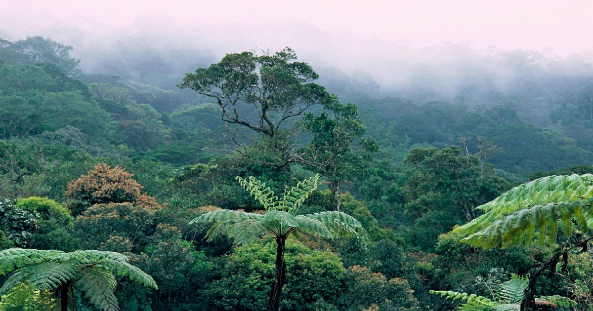 #bioPGH Blog: Pennsylvania of Yesteryear | Phipps Conservatory and ...