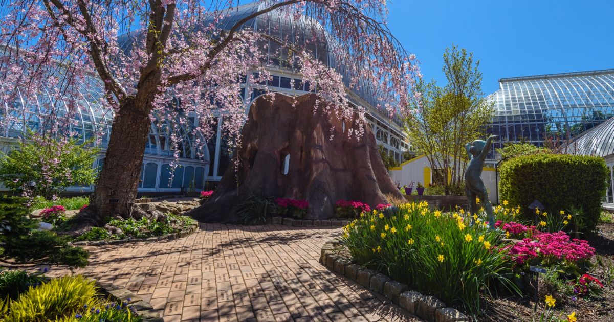 This Week at Phipps: May 21 – 27 | Phipps Conservatory and Botanical ...