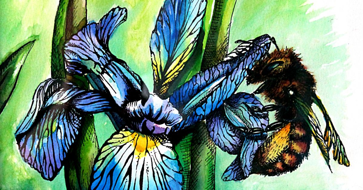 Fairchild Challenge at Phipps: Challenge #3 | Phipps Conservatory and ...