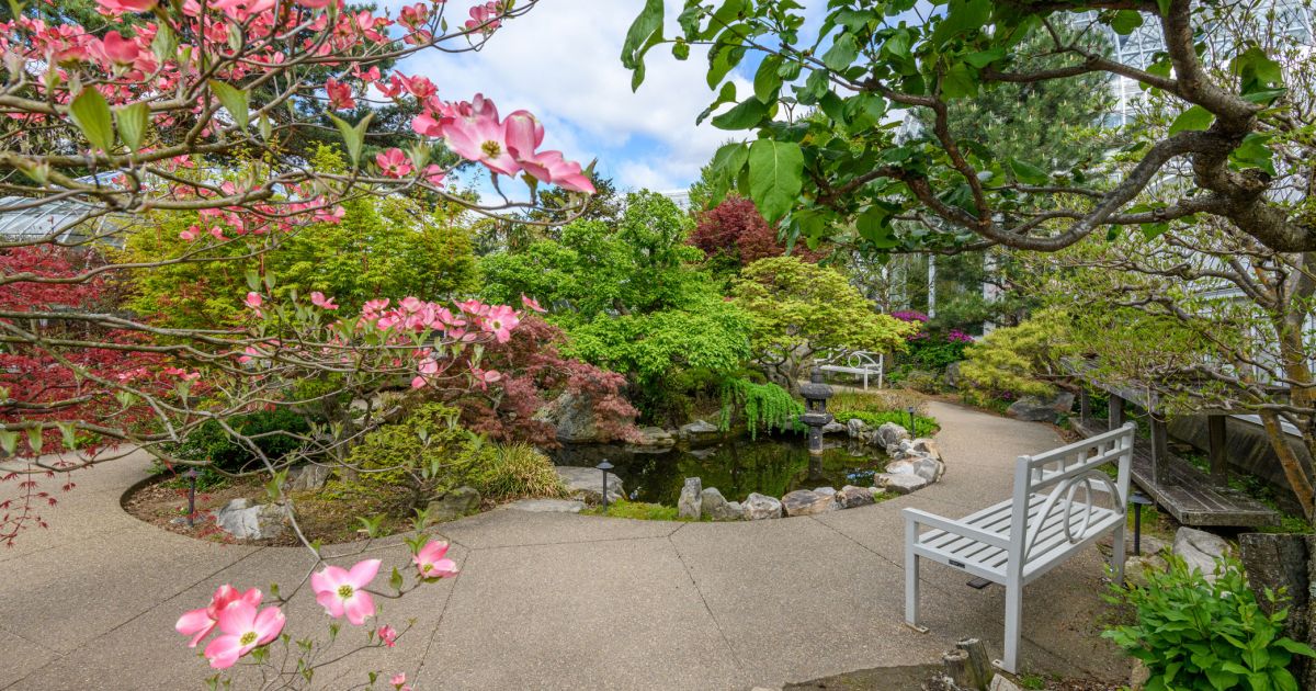This Week at Phipps: May 2– 8 | Phipps Conservatory and Botanical ...