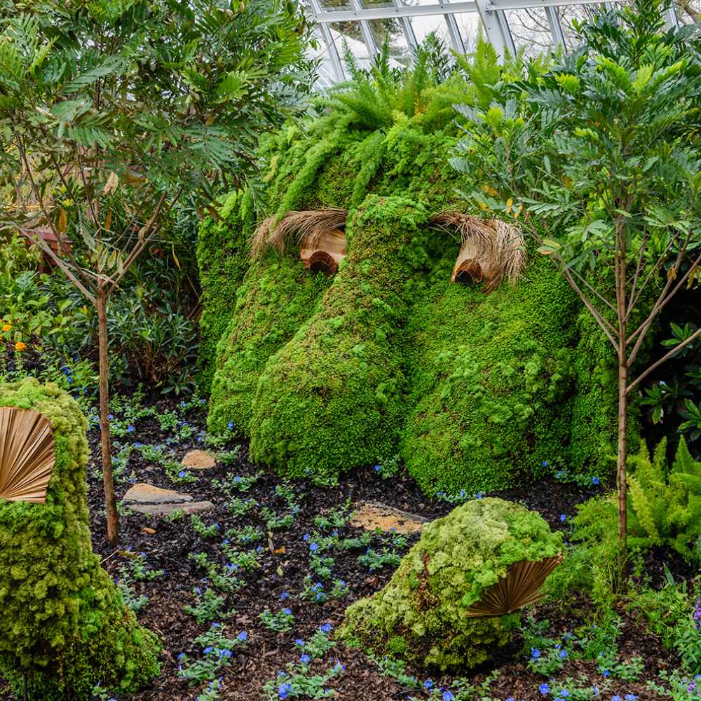 Blog | Phipps Conservatory and Botanical Gardens | Pittsburgh PA