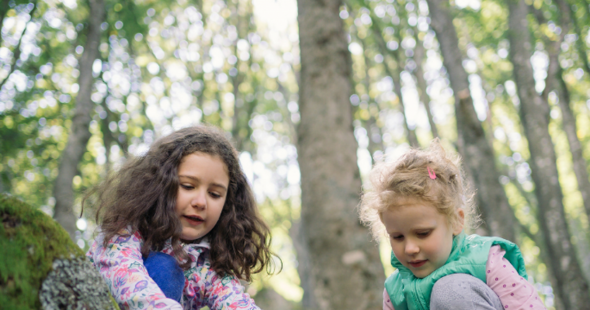 A Guide to Nature Observation: Bugs | Phipps Conservatory and Botanical ...