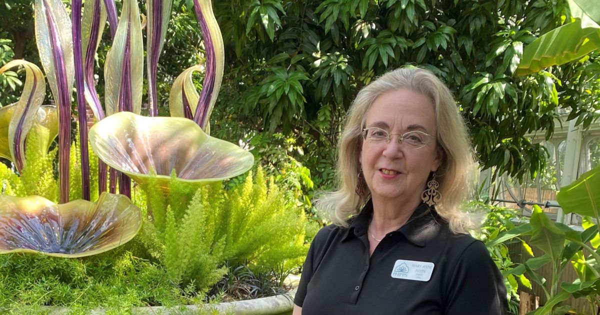 Volunteer Spotlight: Mary Anne Alvin | Phipps Conservatory and ...