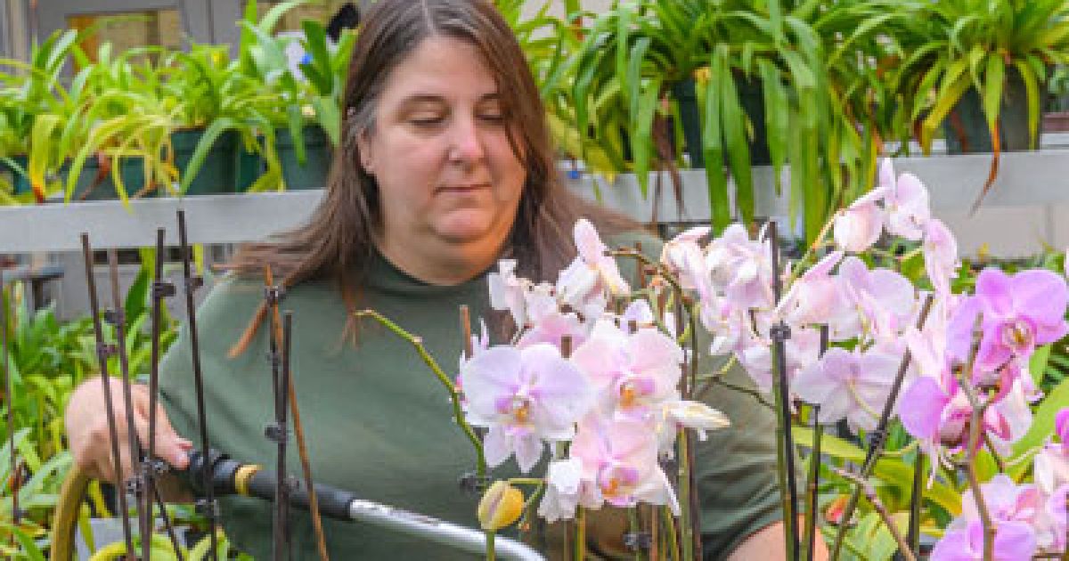 Volunteer Spotlight: Michelle Panasiuk | Phipps Conservatory and ...