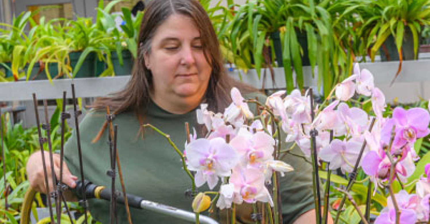 Volunteer Spotlight: Michelle Panasiuk | Phipps Conservatory and ...