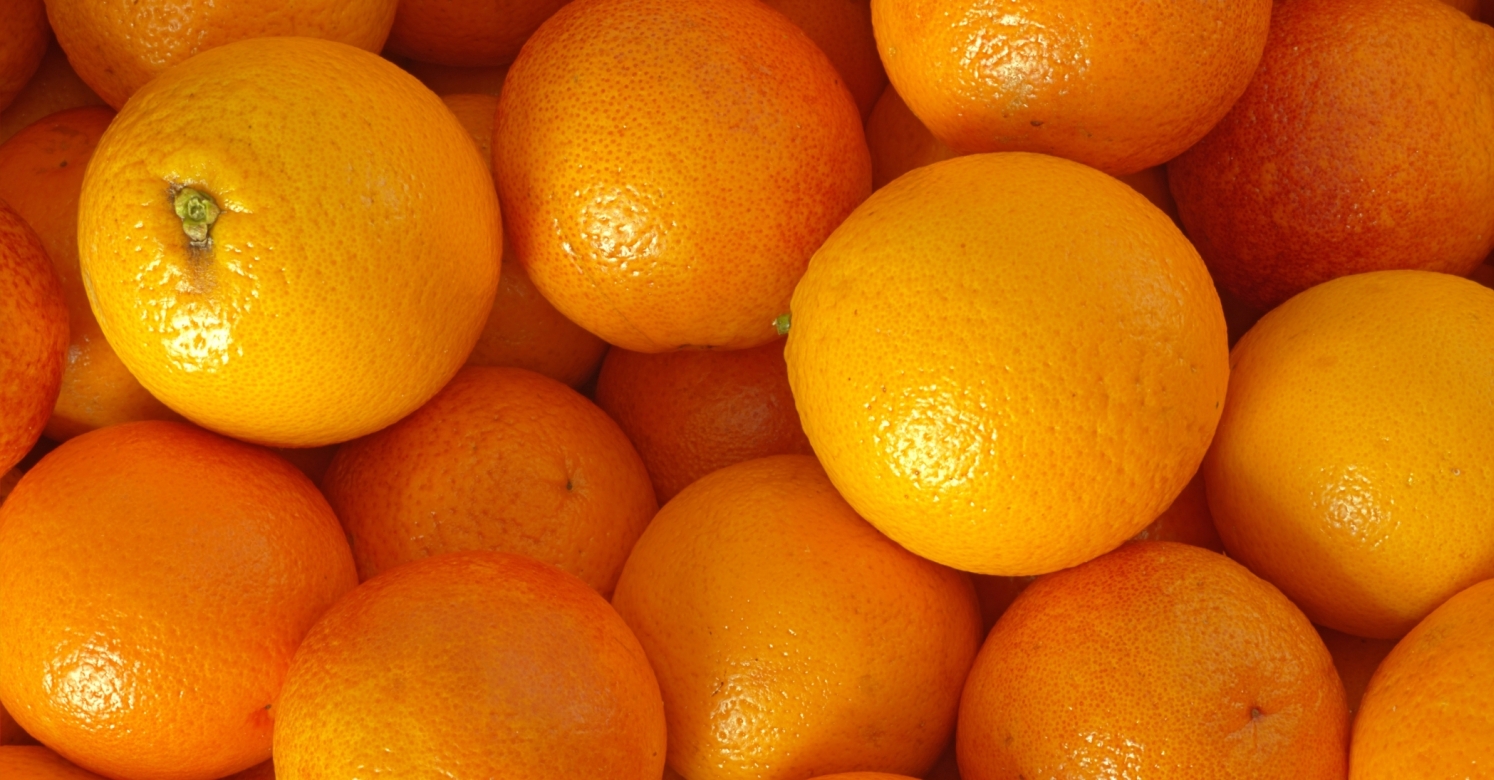 What We're Cooking With Now: Oranges | Phipps Conservatory and ...