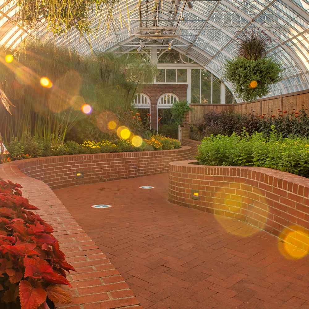 Blog | Phipps Conservatory and Botanical Gardens | Pittsburgh PA