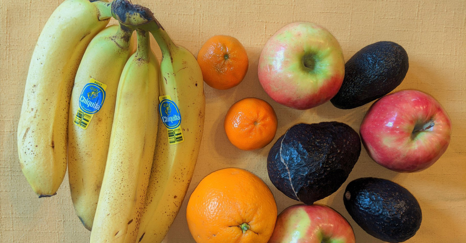 Learning About Fruit and Vegetable Gardens | Phipps Conservatory and ...