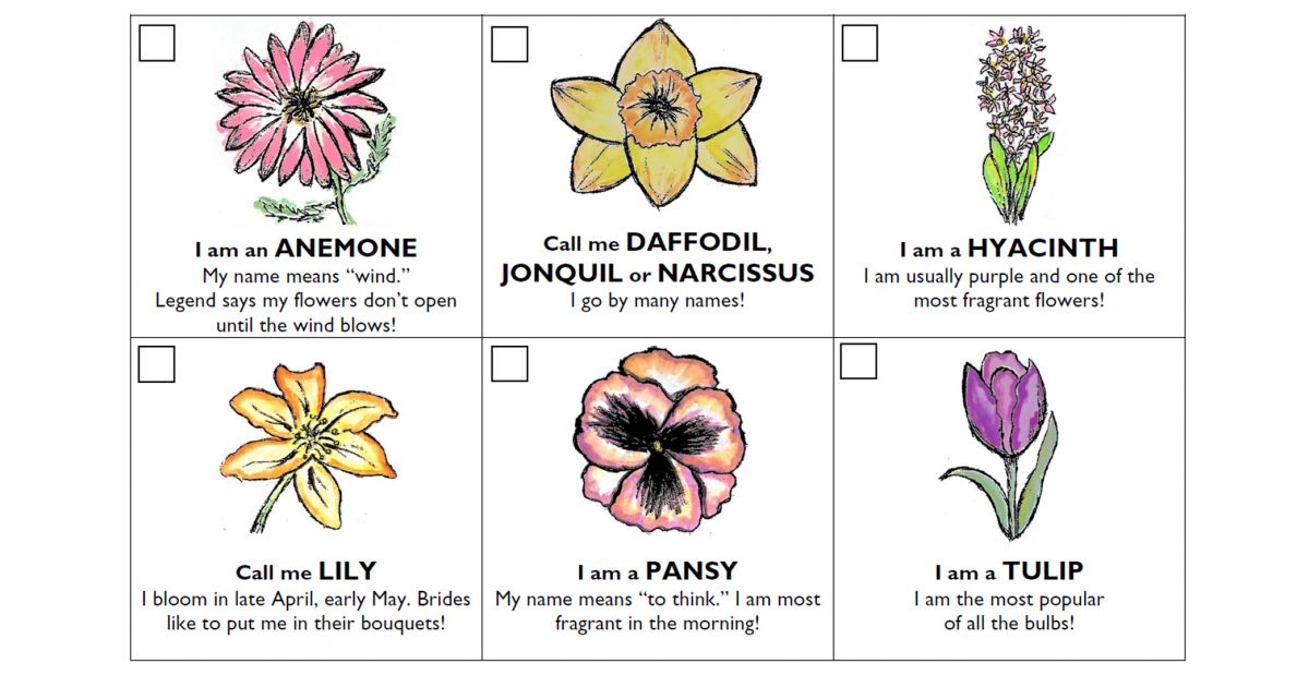 Spring Flower Scavenger Hunt | Phipps Conservatory and Botanical ...