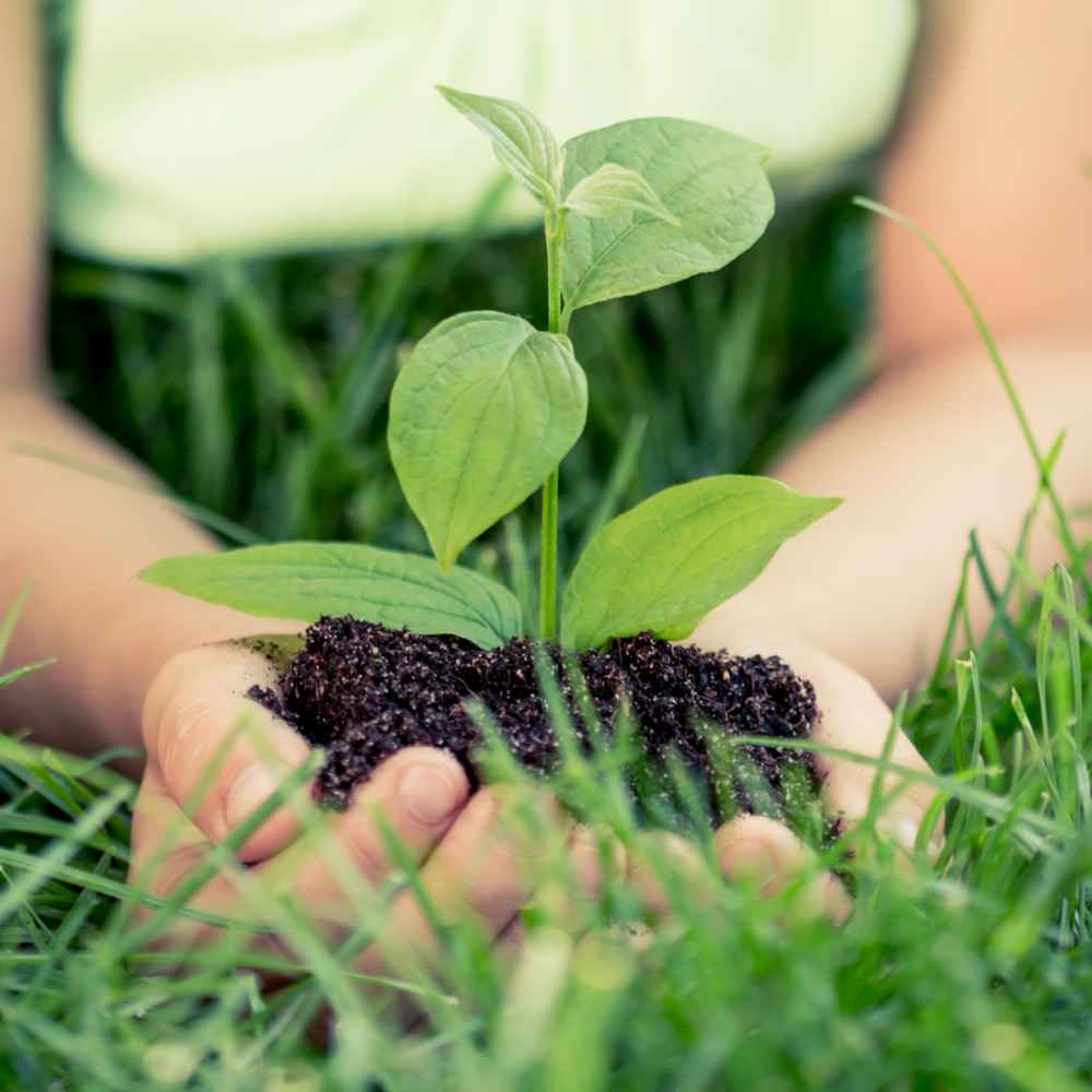 Blog | Phipps Conservatory and Botanical Gardens | Pittsburgh PA