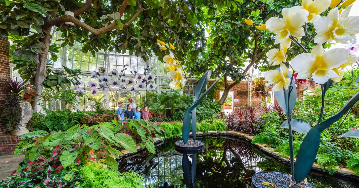 This Week at Phipps: Aug. 14 – 20 | Phipps Conservatory and Botanical ...
