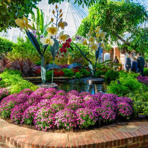 Blog | Phipps Conservatory and Botanical Gardens | Pittsburgh PA