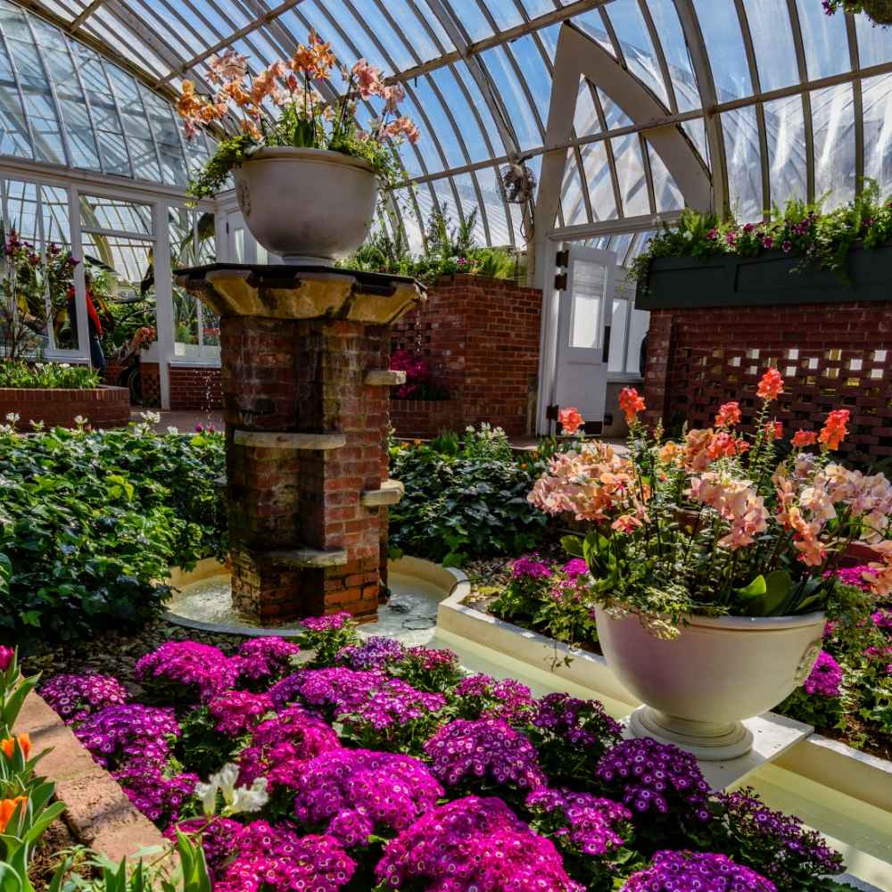 Blog | Phipps Conservatory and Botanical Gardens | Pittsburgh PA